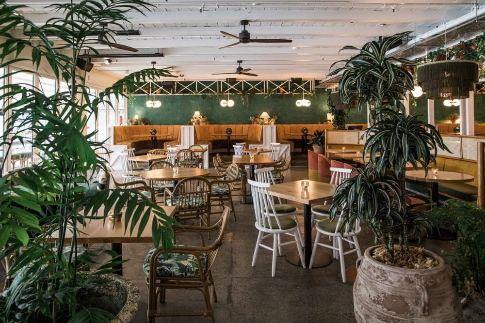 The Lula Inn | Auckland Pride Festival